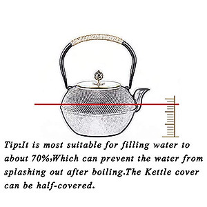 tetsubin Cast iron tea kettle japanese workshop teapot hobnail pattern with Stainless Steel Infuser【20 oz black】