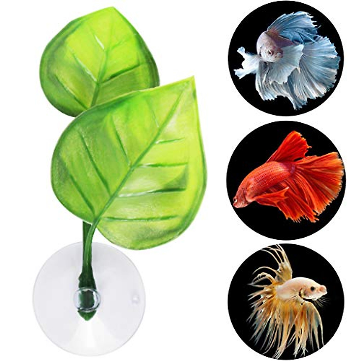 Lystaii 4pcs Betta Fish Leaf Pad with Suction Cup, Betta Bed Leaf Hammock Double Leaf Design Lightweight and Realistic Resting Spot Breeding Decoration Comfortable Laying Hiding Habitat