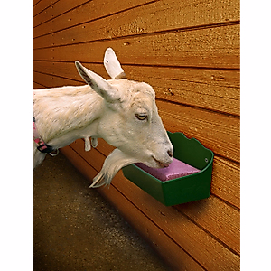 Little Giant® Livestock Salt Block Feeder | Mineral Block Holder | 1 Quart