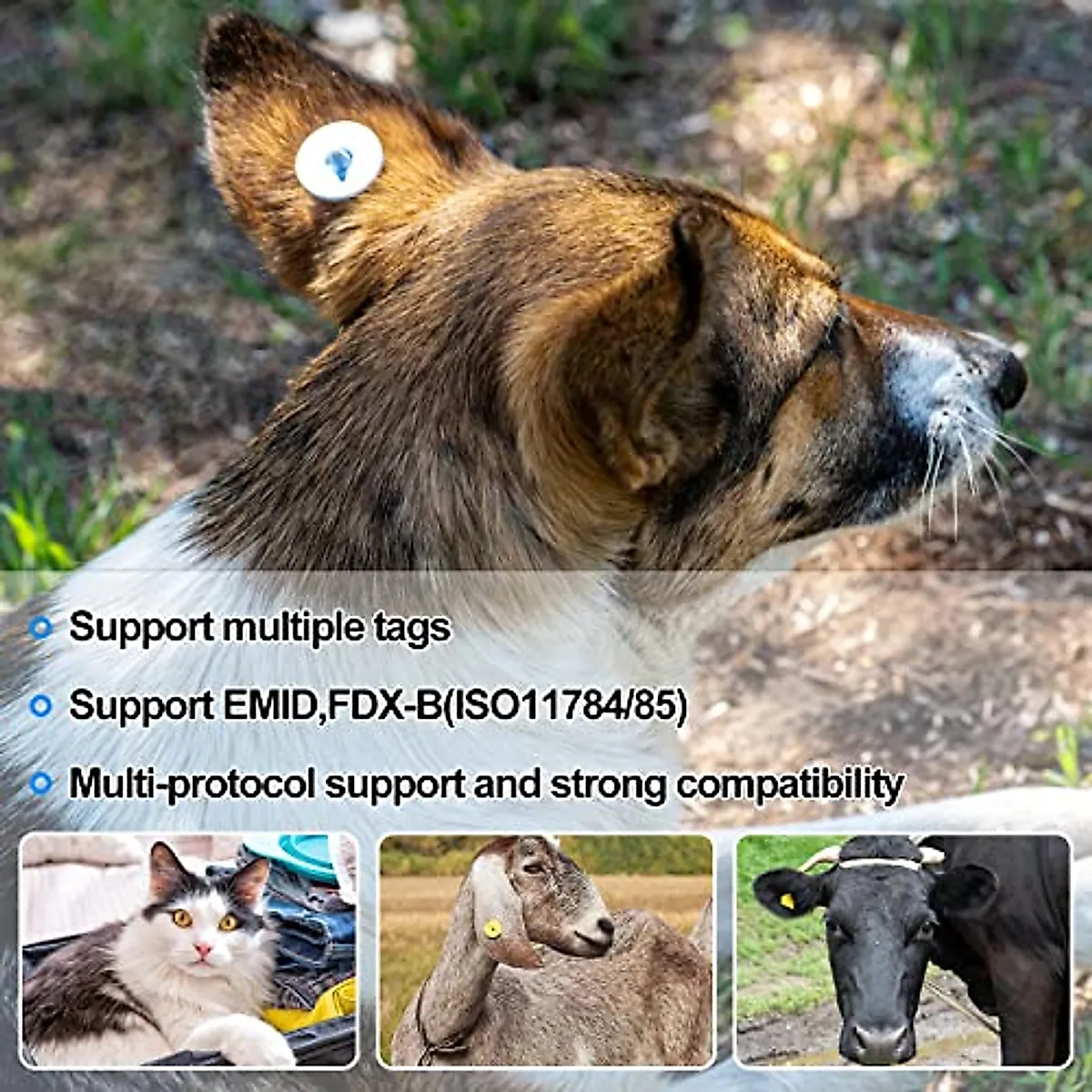 Alacrity Microchip Scanner Animal Chip ID Reader Scanner Bluetooth Pet Wireless RFID EMID Animal ID Tag Handheld Scanner Animal Tag Reader EMID FDX-B(ISO11784/11785) and ID64 RFID