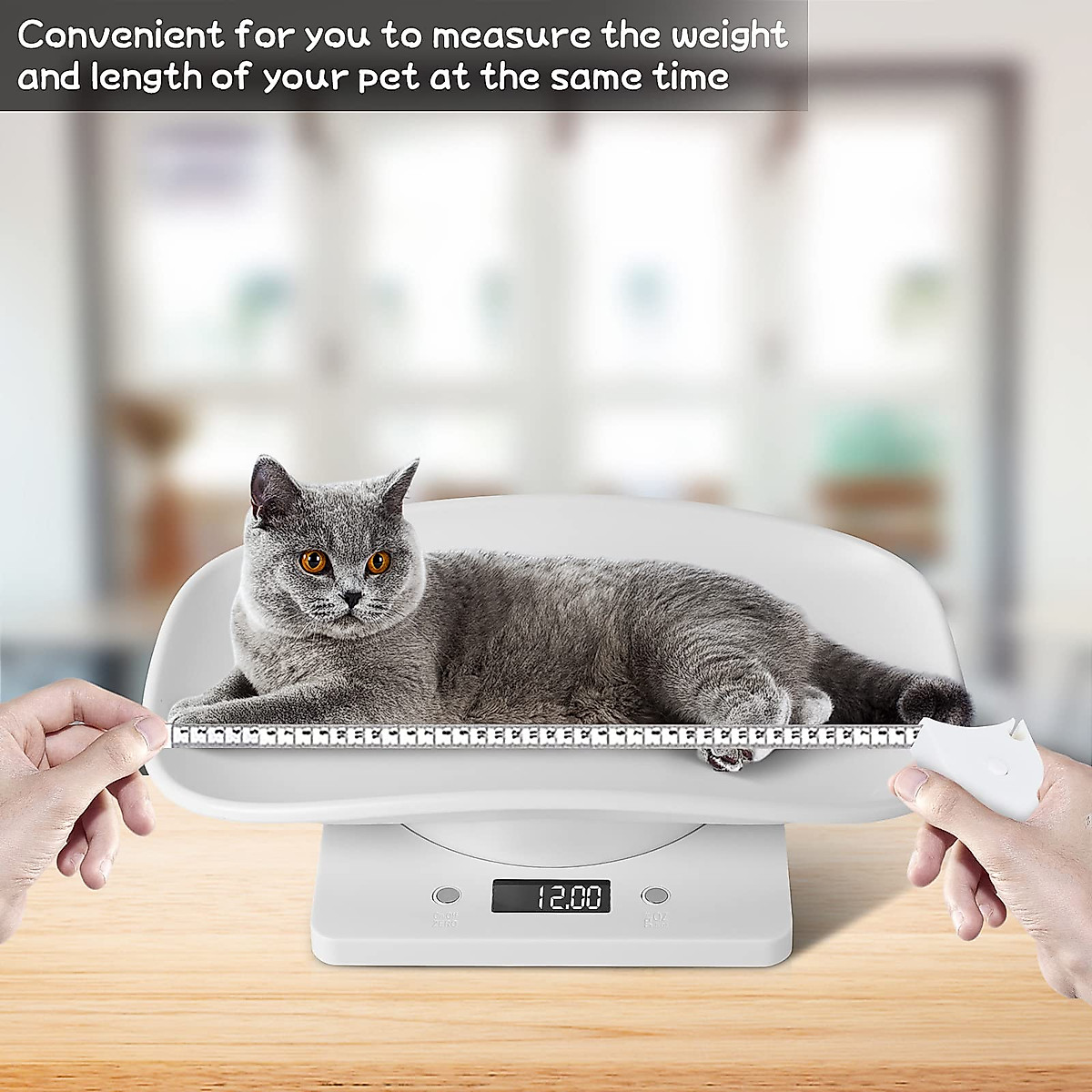 Digital Pet Scale, Puppy Scales for Weighing, Newborn Puppy Whelping Supplies, Accurate Small Animal Scale for Puppies/Kitten/Dog/Cat/Hedgehog, Multi-Function LCD Scale, Max 22lb,11.4inch