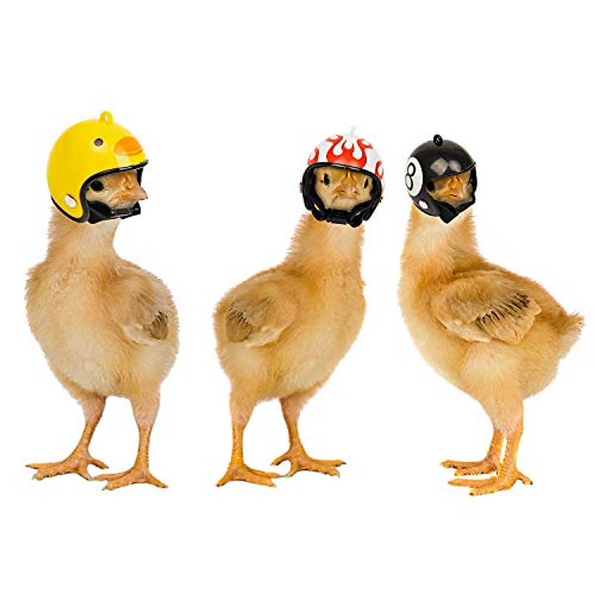 Genriq 10PCS Chicken Helmet - Chicken Bird Toy Head Protection Helmet Bird Hat Headwear Suitable for Parrot Small Chickens, Ducks and Other Poultry Funny Pet Safety Helmet Costumes Accessories