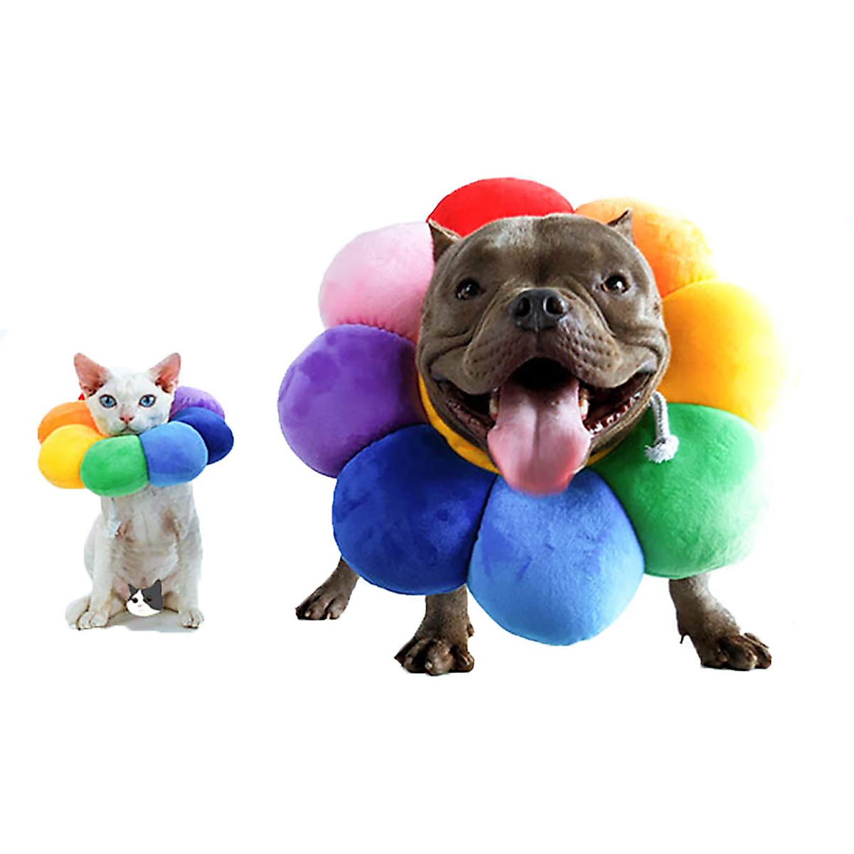 ccypet Pet Adjustable Recovery Collar - Recovery Protective Pet Cone Wound Healing Protective Soft Edge for Pets/Kitten/Cats/Small Dogs