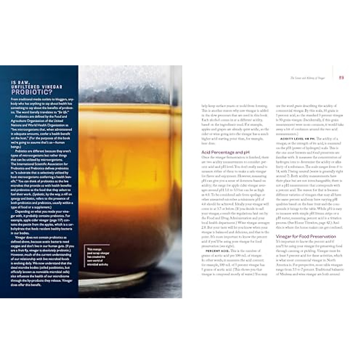 Homebrewed Vinegar: How to Ferment 60 Delicious Varieties, Including Carrot-Ginger, Beet, Brown Banana, Pineapple, Corncob, Honey, and Apple Cider Vinegar