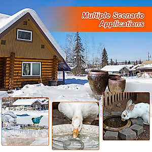 lollyes 250W Bird Bath Heater, Heated Bird Baths for Outdoor in Winter, Bird Bath De-icer with Thermostatically Controlled and 3.3Ft Cord, with Auto Shut Off Function, Ideal Gift for Birds