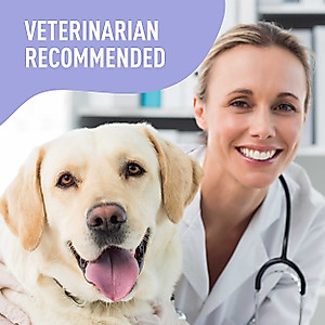 Nature's Synergy Melatonin and Hemp Oil for Dogs, Cats & Pets, 2 Pack, Calming Sleep Support, Omega Fatty Acids for Hip and Joint Support, Skin and Coat Health, Stress from Travel, Separation