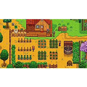 Stardew Valley [Nintendo Switch - Standard Edition]