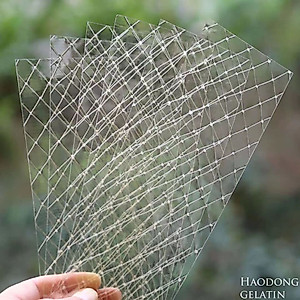 Haodong Beef Silver Leaf Gelatin Sheets - 180 Bloom (20 Sheets, 50g) - Gelatin Leaves for Baking and Cooking Mirror Glaze Dessert Jellies Mousse Cake