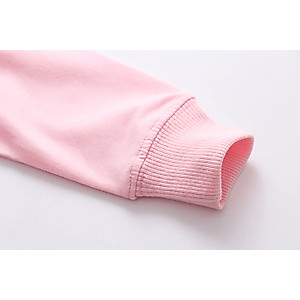 RETSUGO Toddler Baby Girls Cat Sweatshirts Casual Pullover Crewneck Winter Long Sleeve Tops Shirts Clothes 2t(75-Cat 90)