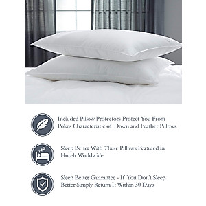 Pacific Coast Touch of Down Standard Size 2-Pillow Set with 2 Standard Size Pillowtex Pillow Protectors