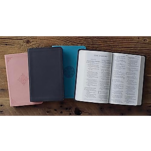 ESV Large Print Value Thinline Bible (TruTone, Black)