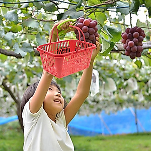 Cabilock 20pcs Small Fruit Basket Strawberry Cherry Basket Plastic Handle Basket Container Red Mini Shopping Basket Kids Adult Fruit Picking Basket 23. 5x17x11cm Random Patterns