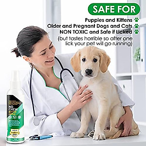 TUIOOE Bitter Apple Spray for Dogs to Stop Chewing - Prevent Licking, Marking, Chewing - Anti Chew Deterrent No Chew Spray | Alcohol Free, Non-Toxic, No Sting & No Smell - Indoor & Outdoor Safe 175ML