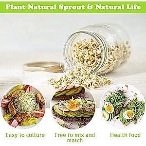 Complete Sprouting Jar Kit | 2 Wide Mouth Mason Jars with 316 Stainless Steel Sprout Lids | Blackout Sleeves, Tray, and Stand Included | Perfect for Broccoli, Alfalfa, and More