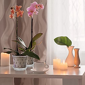 MFXIP 5.5 Inch 8 Pack Orchid Pots with Holes and Saucers, Clear Repotting, Plastic Plant Pot for Indoor Outdoor Flower Plants Gardening Pots