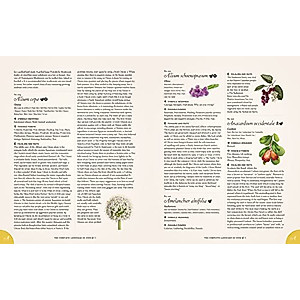 The Complete Language of Food: A Definitive and Illustrated History (Volume 10) (Complete Illustrated Encyclopedia, 10)