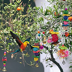 EBaokuup 10 Packs Bird Swing Chewing Toys- Parrot Hammock Bell Toys Parrot Cage Toy Bird Perch with Wood Beads Hanging for Small Parakeets, Cockatiels, Conures, Finches,Budgie,Parrots, Love Birds