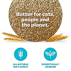 sWheat Scoop Natural Wheat Cat Litter, Original, Fast Clumping with Odor Neutralizing Enzymes, 25 Pound Bag