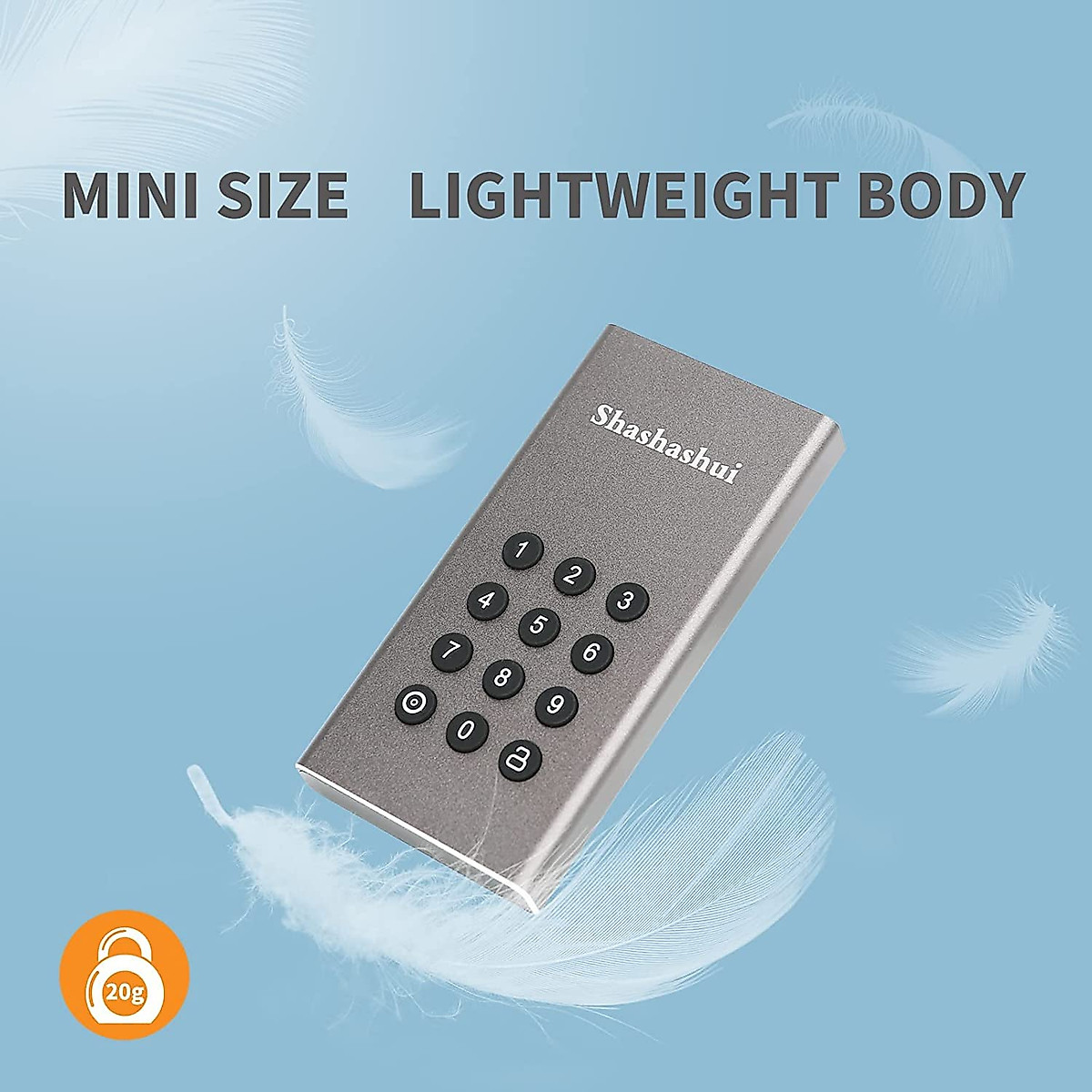 sasashui Encrypted Potable SSD Drive,AES256 Keypad Lock Secure USB 3.0 Hard Drive External Solid State Drive with High Speed up to 350MB/s (128G)