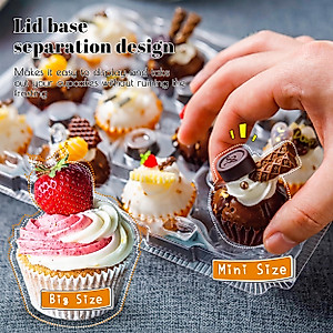 NPLUX 12 Count Mini Cupcake Containers 20 Pack Cupcake Holder with Detachable Tall Dome Lids Mini Plastic Stackable Cupcake Boxes for 240 Cupcakes, BPA Free