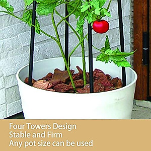 Garden Trellis for Climbing Plants - Trellis for Potted Plants, Garden Trellis for Climbing Plants for Outdoor Climbing Support, Metal Wire Pot Trellis, Rose Tree, Sweet Pea, Frame Stand for Garden
