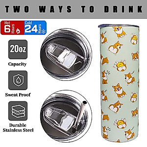 IchDich Corgi Tumbler With Lid and Straw 20 oz Insulated Dog Tumbler Stainless Steel Corgi Skinny Tumbler Water Bottle Travel Mug Wine Cups Corgi Gifts for Corgi Lovers