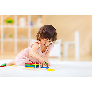 PlanToys (2403 Wooden Geometric Sorting Board Sustainably Made from Rubberwood and Non-Toxic Paints and Dyes