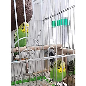 Clpoawc Bird Water Dispenser Outdoor No Mess Automatic Feeder,Parakeet Waterer for Cage,Food Container Bird Cage Accessories Hanging Outside for Lovebird Canary Finch Small Birds (2Pcs), Clear