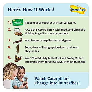 Insect Lore Giant Butterfly Garden with Voucher | 18 Inch Habitat | Life Cycle Figurines Included | Voucher to Redeem 5 Baby Caterpillars Later | Raise Painted Lady Butterflies