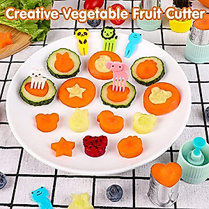 Updated Fruit Cutter Shapes Vegetable Cutters for Kids 19 PCS HINZER Mini Cookie Cutters Set with Food Picks for Kids School Lunch Bento Box Accessories DIY Kitchen Baking Pastry Cookie Stamps Mold