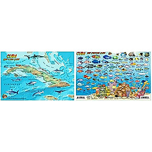Cuba Dive Map & Coral Reef Creatures Guide Franko Maps Laminated Fish Card