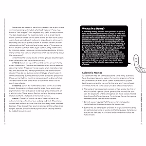 Worms Eat My Garbage, 35th Anniversary Edition: How to Set Up and Maintain a Worm Composting System: Compost Food Waste, Produce Fertilizer for Houseplants and Garden, and Educate Your Kids and Family