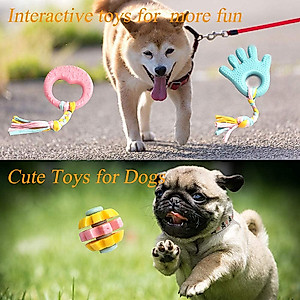 HDMOTU Puppy Toys for Teething,Puppy Chew Toys for Teething Small Breed,Dog Chew Toys for Puppies Teething 20 Pack,Rubber Ball Interactive Dog Toy