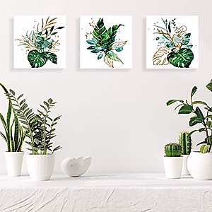 SANWEITU Paint by Number for Adults with Wooden Frame 12×12 inch Paint by Number 3 Packs Green Plants Home Decoration for Beginners with Paints and Brushes