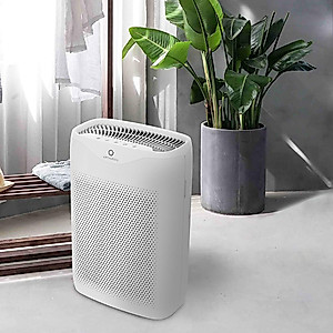 Airthereal True HEPA Filter Replacement for Pure Morning APH230C Air Purifier - 3 Filtration Stage True HEPA Technology - Eliminates Pollen, Dust, Fire Smoke, Pet Dander (1-Pack)