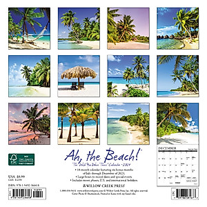 Willow Creek Press Ah The Beach! Monthly Mini 2024 Wall Calendar (7" x 7")