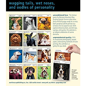 Dog Page-A-Day Gallery Calendar 2023: An Elegant Canine Celebration