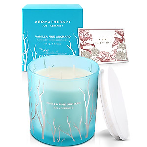 Vanilla Pine Apple Orchard Winter Candle - Natural Soy Pine Scented Candle 3 Wick - Christmas Fir Tree Holiday Scented Candle for Home 14.5 Oz - Large Relaxing Vanilla Candle Gift for Women & Men