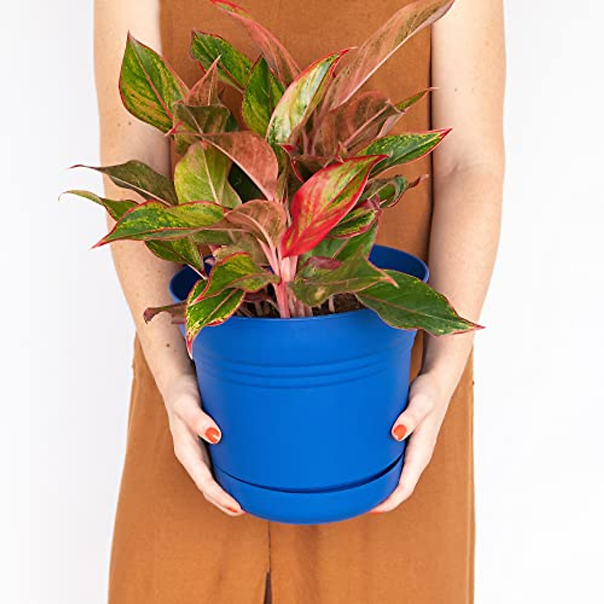 Bloem Planter Saturn CL BL 10"