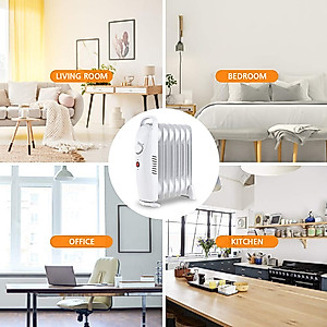 LifePlus Oil Filled Heater, Portable Radiant Space Heater with Energy Saving, Overheat Safety, 700W Small Space Heater Quiet Work for Bedroom, Indoor use (White)