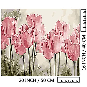 BAISITE Paint by Numbers for Adults Beginners and Kids,16" Wx20 L Canvas Pictures Drawing Paintwork with 4 Pcs Wooden Paintbrushes,Acrylic Pigment Poppy Flowers-BSC012