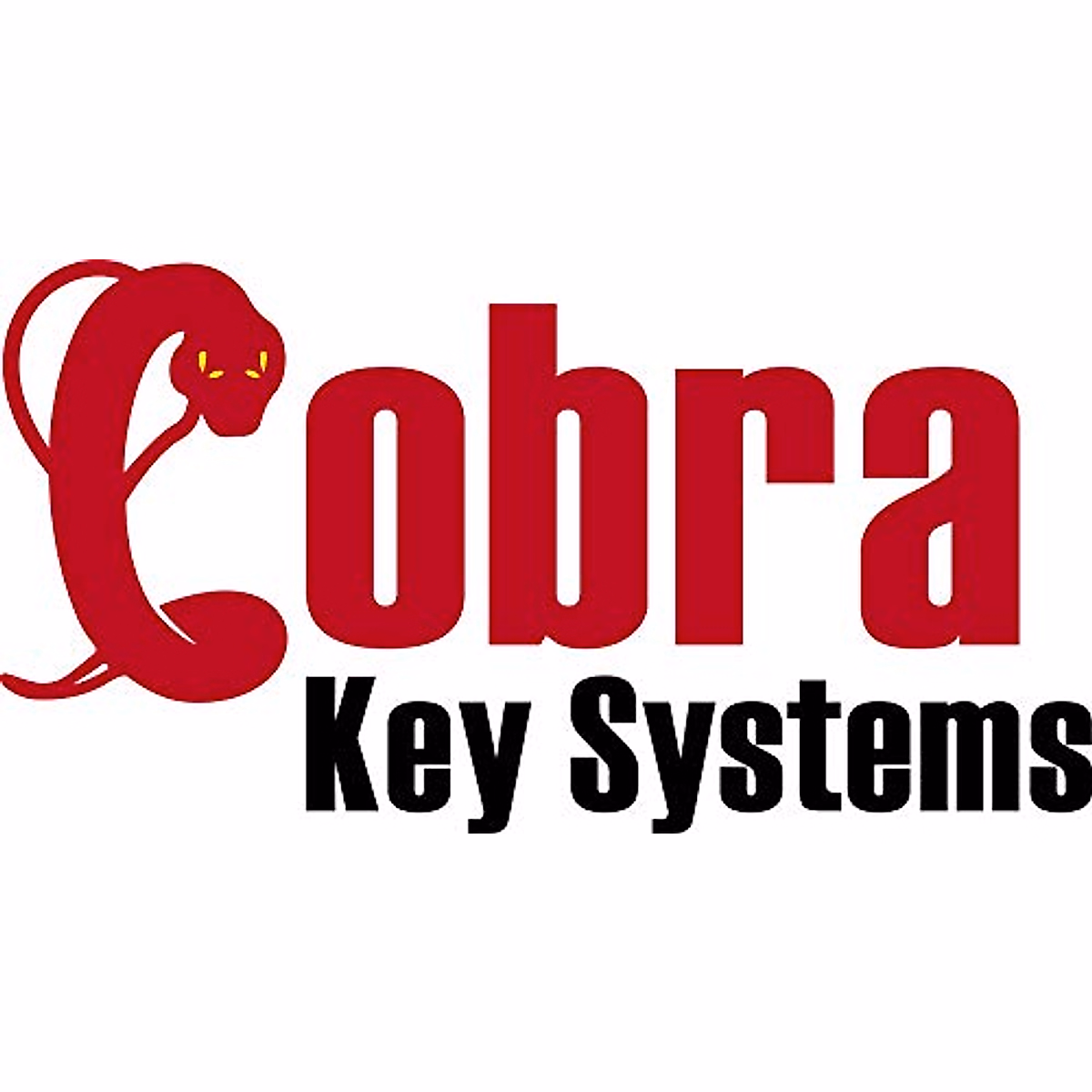 Cobra Key Systems Key Holder Black - 25 Pack