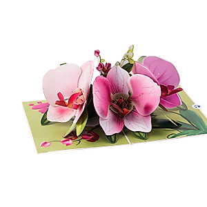 TRUANCE Pop Up Orchid Flower Mother Day Card- 3D Cards For Birthday, Anniversary, Thank You Cards, Card for Mom, Congratulation Card, Love Card, All Occasion