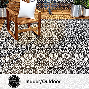 Nicole Miller New York Patio Country Danica Transitional Geometric Indoor/Outdoor Area Rug, Black/Grey, 1'9"x2'11"
