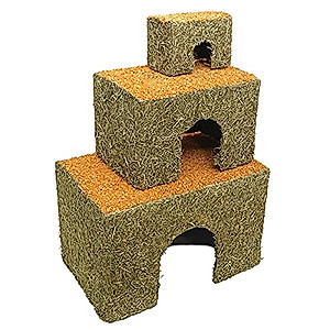 Naturals Edible Carrot Cottage Large 37x25x24cm