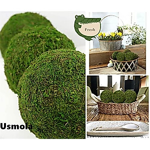 Usmola Moss Balls, Decorative Balls for Centerpiece Bowls Vase Filler, Home Party Decor (3.5 inches - Set of 6-), Large
