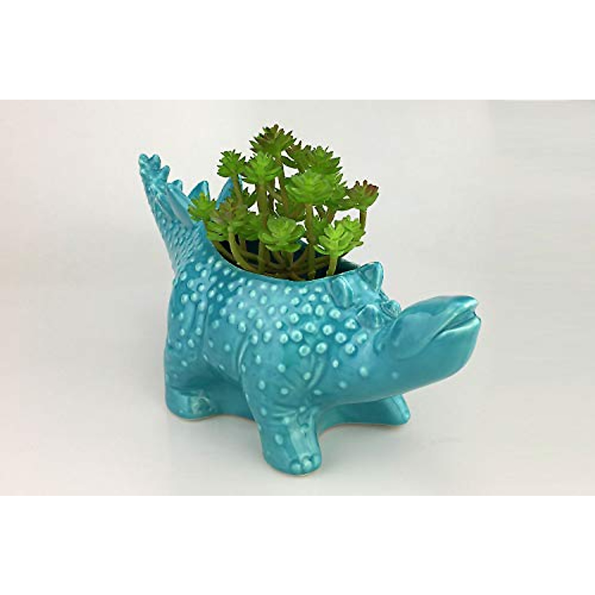 VanEnjoy 12 inches Cute Cartoon Dinosaur Ceramic Succulent Planter, Water Culture Hydroponics Bonsai Cactus Flower Pot,Air Plant Vase Holder Desktop Decorative Organizer (Stegosaurus, Blue)