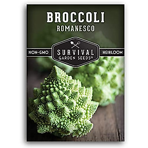 Survival Garden Seeds - Romanesco Broccoli for Planting - Packet with Instructions to Plant and Grow Delicious & Beautiful Fractal Broccoli Heads Your Home Vegetable Garden - Non-GMO Heirloom Variety