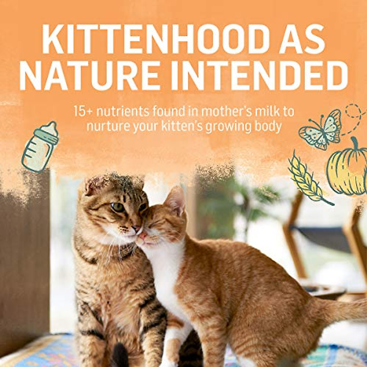 Beyond Purina High Protein, Natural Kitten Food, Kitten Chicken & Oatmeal Recipe - 3 lb. Bag