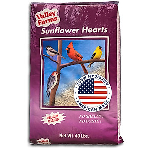 Valley Farms Whole Sunflower Hearts for Birds - A no Waste Bird Seed - No Mess Bird Seed for Outside Feeders, Tray or Tube Feeders - Sunflower Seeds for Wild Birds 40 LBS